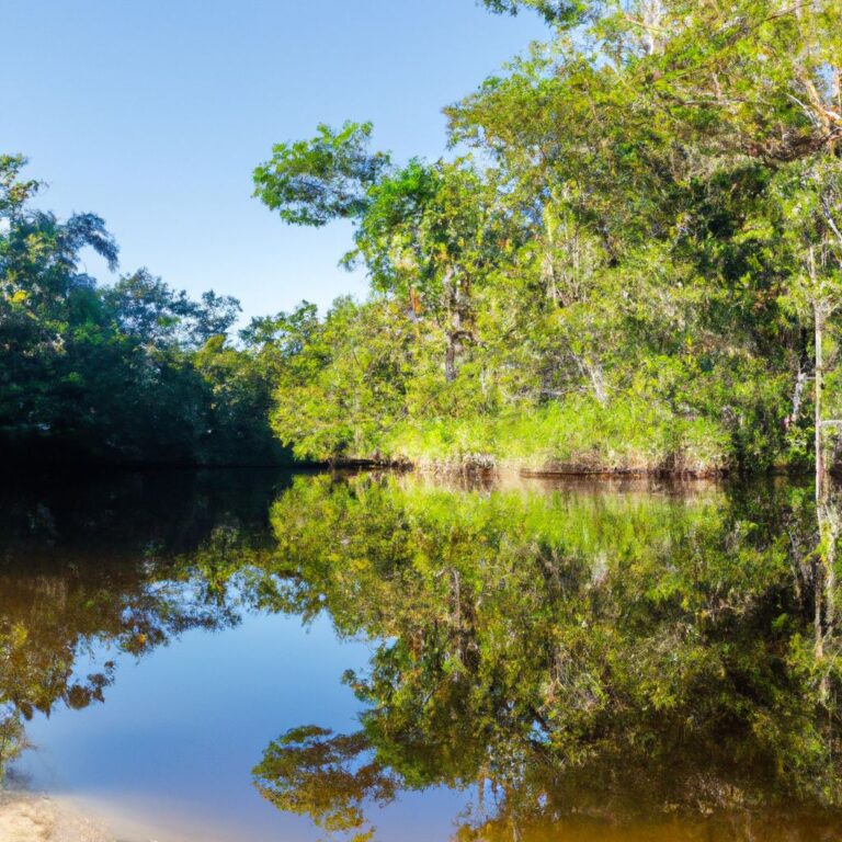 Os melhores pesqueiros do Brasil: Destinos imperdíveis para pescadores